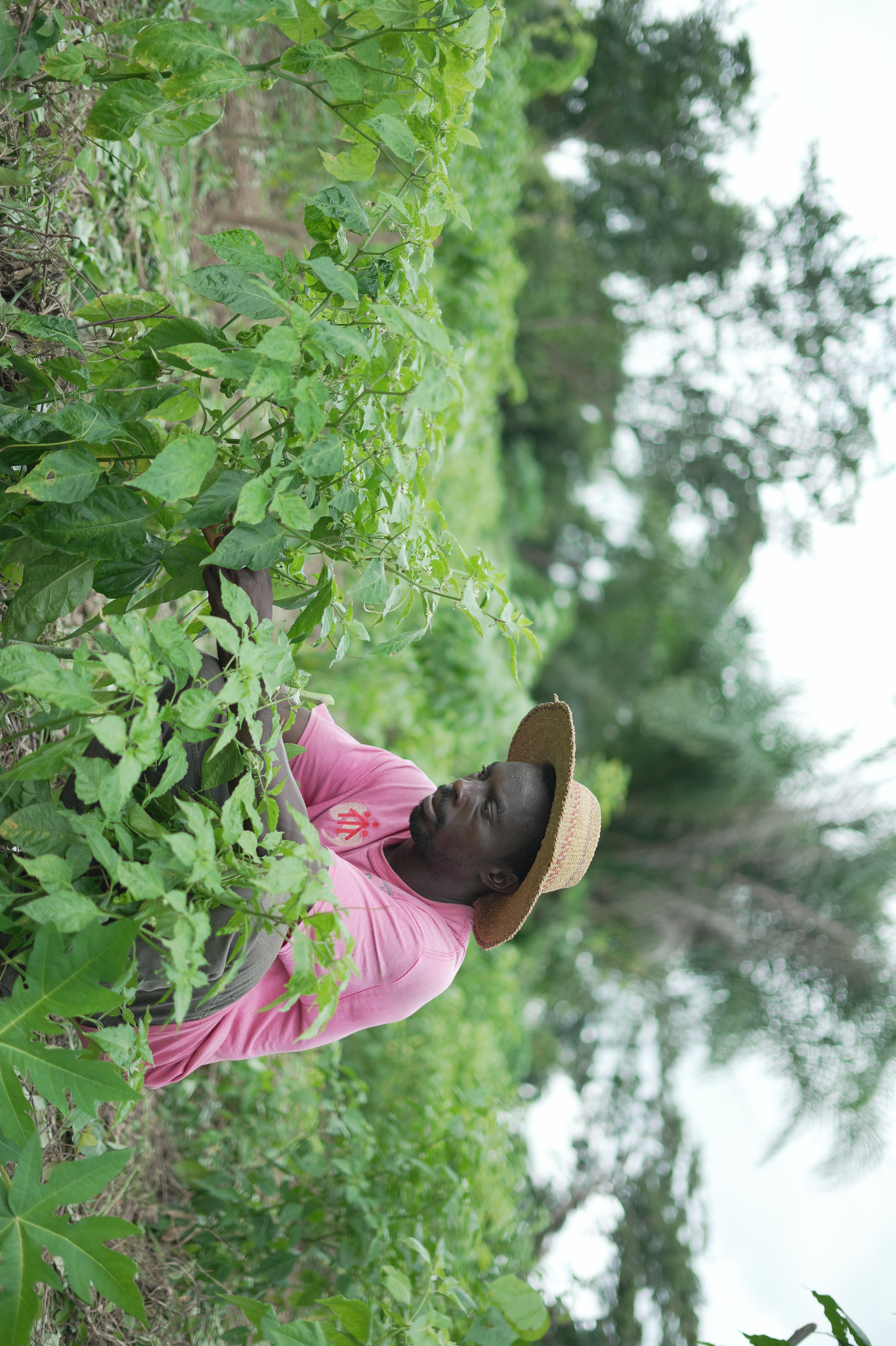 VIS-Volontariato Internazionale per lo Sviluppo